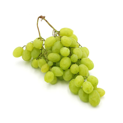 Startseite - Kunden - Flotte Karotte